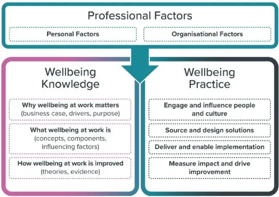 Introducing a New Professional Framework for Workplace Wellbeing - The ...